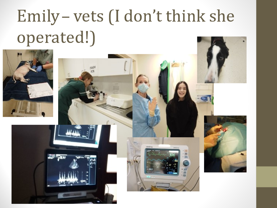 Mark Rutherford School - Year 9 Work Shadow Days